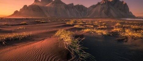 Paisagem desértica com dunas de areia e vegetação rala, com montanhas ao fundo.