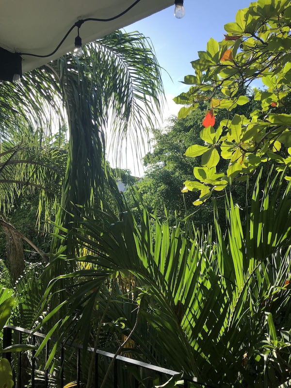 Apartamento Boutique En El Corazón De Puerto Vallarta. Hermoso Y Cómodo - Puerto Vallarta