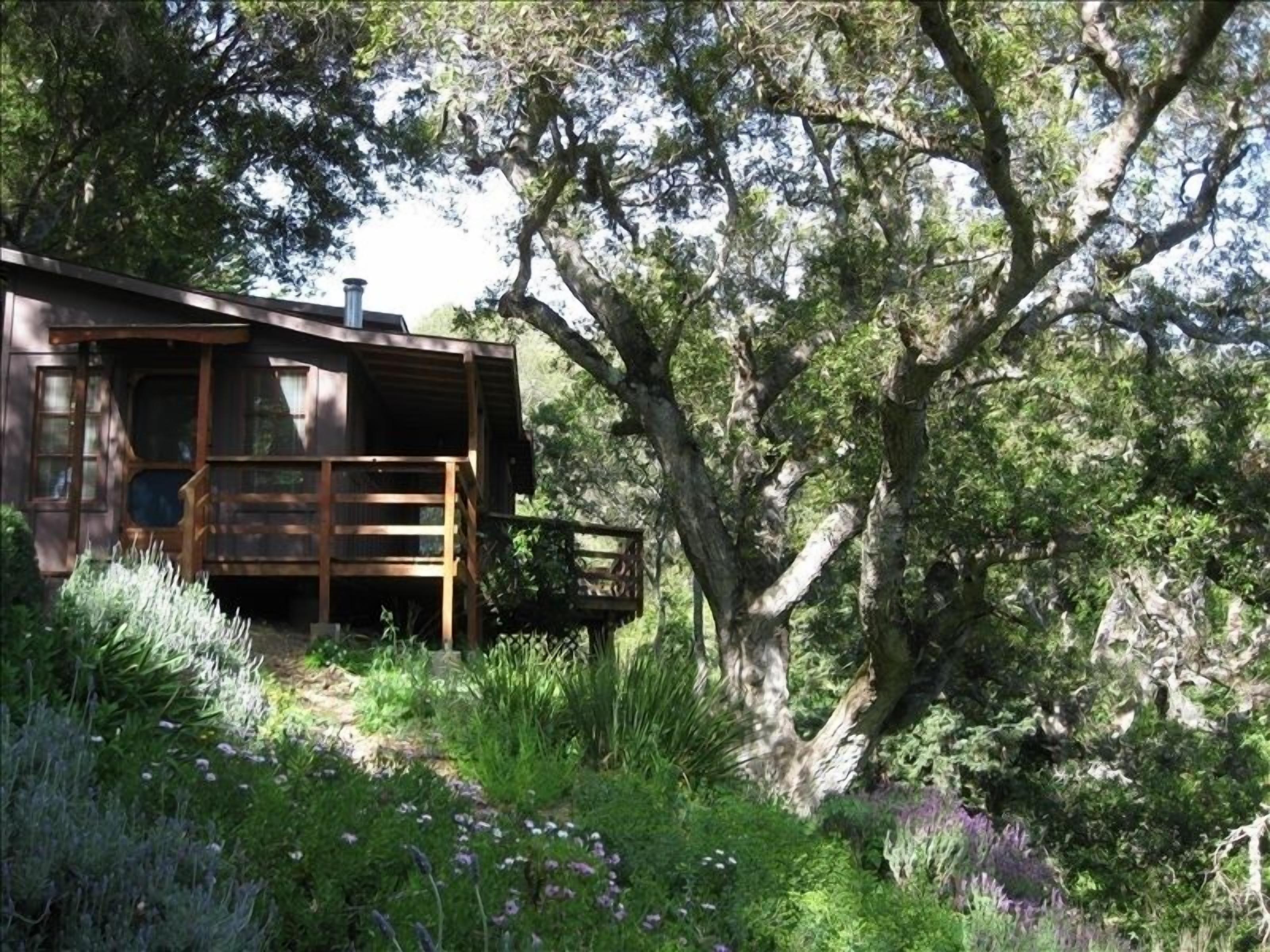 23 Best Vacation Rentals Along The Big Sur Route - Updated 2024 | Trip101