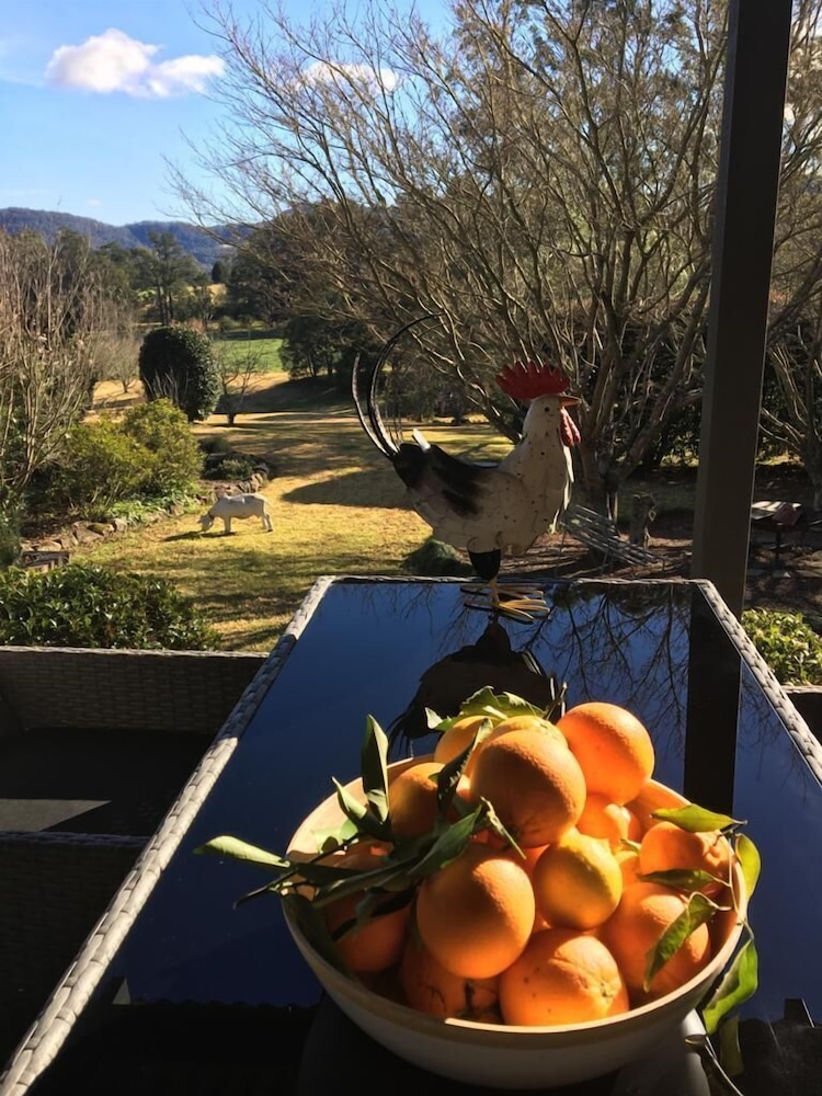 Nanny Goat Hill - A Spacious Kangaroo Valley Escape - Fitzroy Falls
