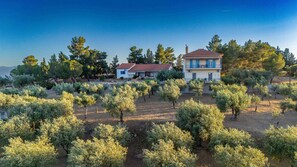 Uma casa de dois andares com telhado de telhas vermelhas, cercada por oliveiras em uma paisagem seca.