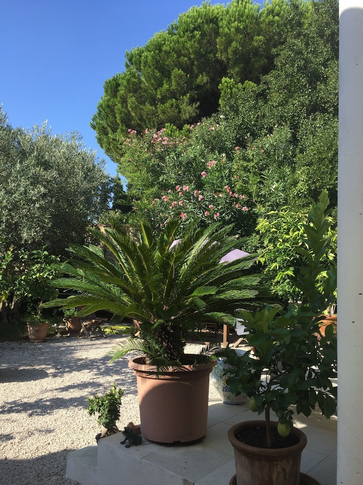Appartement De Plein Pied Dans Maison Avec Jardin - La Grande-Motte