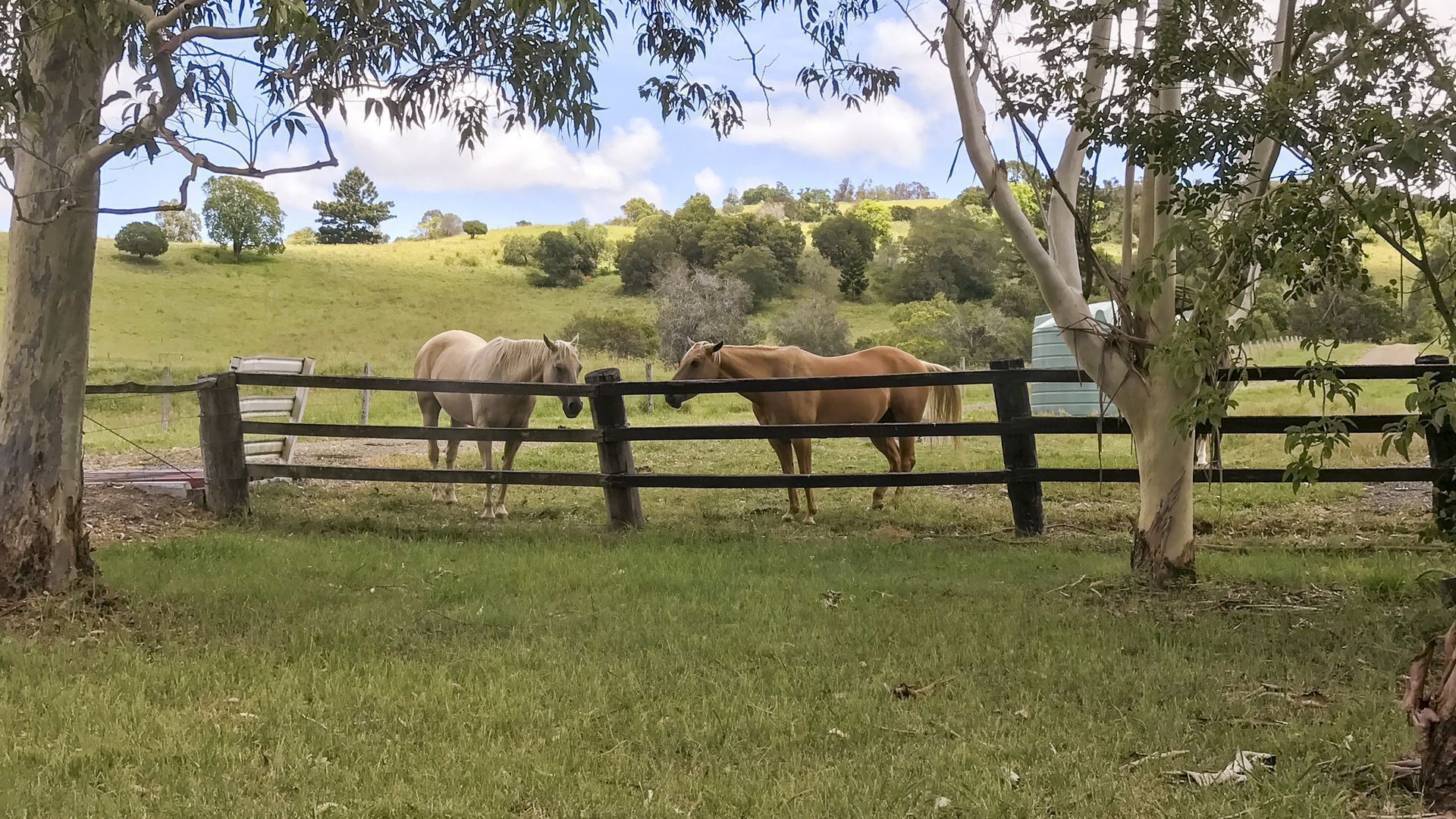 Top 10 Ranches To Stay In Australia - Updated 2024 | Trip101