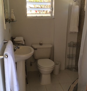 Private Beach! Best snorkeling in Culebra!!! - Culebra - 2024 Prices | Vrbo