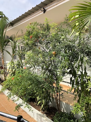 Área da propriedade