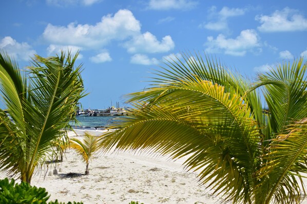 Perto da praia, areia branca 