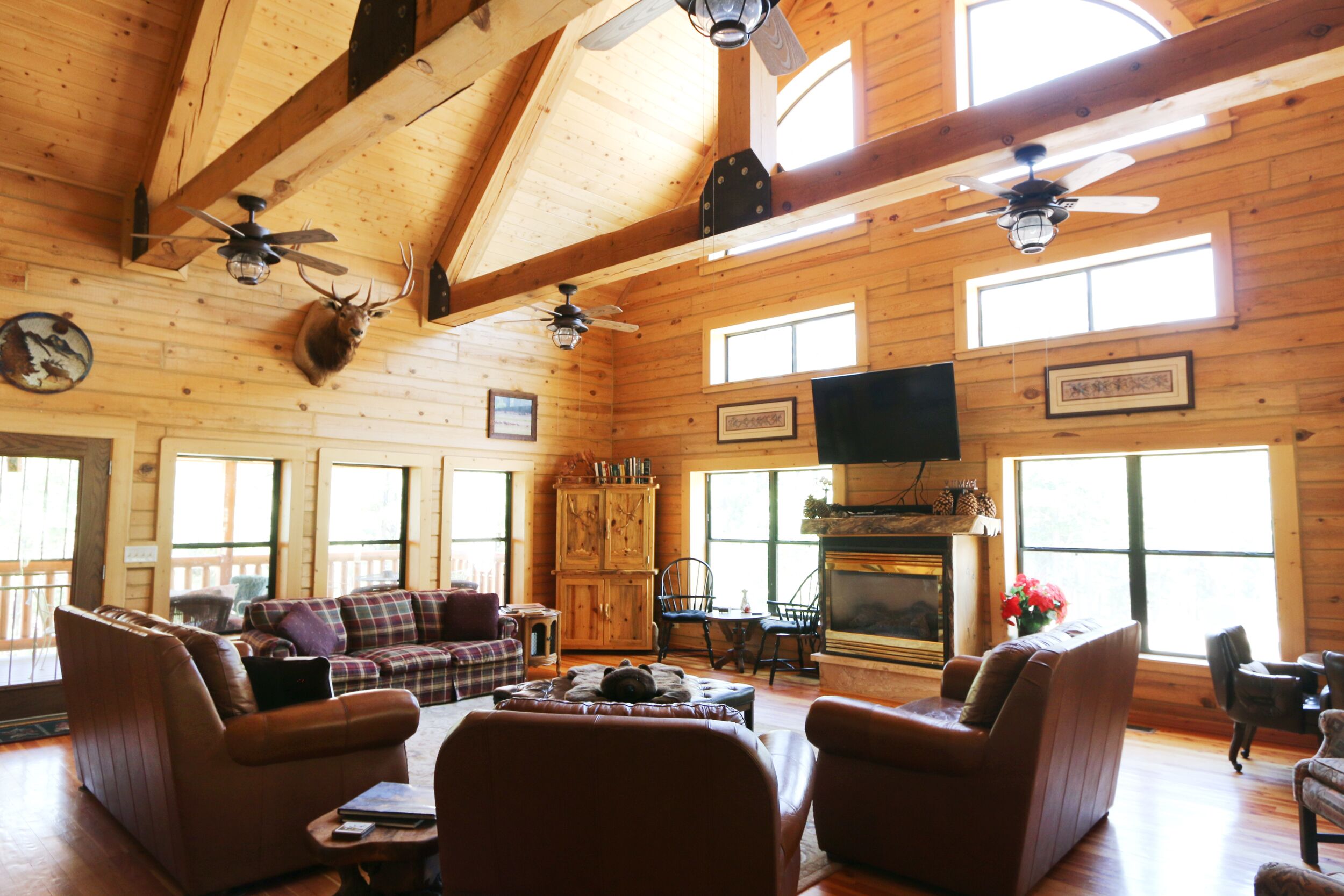 8 Amazing Cabin Rentals In Alpine, Arizona - Updated 2024 | Trip101