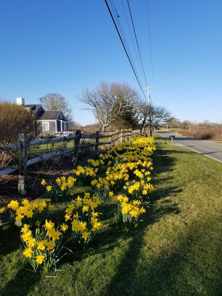 Maison Isolée Attenante Au Refuge D'oiseaux Avec Zone Centrale Duel A / C - Nantucket, MA