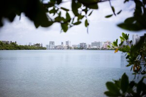 Silhueta urbana refletida na água, emoldurada por vegetação.