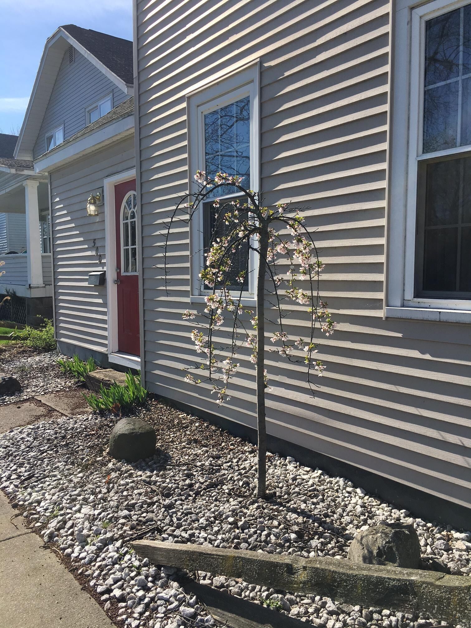 Great for Families! Easy Walk to Downtown & Chinook Pier - Grand Haven ...