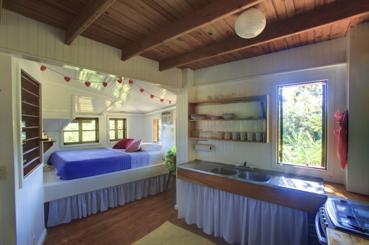 What Would You Dream, Sleeping In A Tree? Utila's Only Treehouse - Isla ...