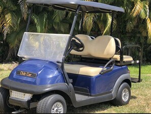 NEW! FREE GOLF CART! VOTED #1 RENTAL! CASA PALMA! PICKLEBALL-KAYAKS ...