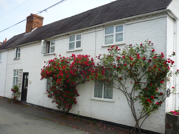White Cottage - Shropshire