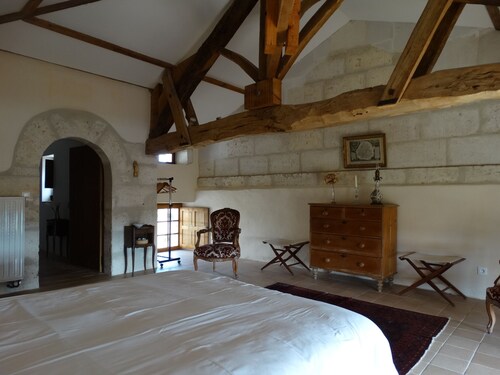 Un Tranquillo Castello Nel Verde Del Perigord Tra I Vigneti Di Bordeaux E Cognac - Aubeterre-sur-Dronne