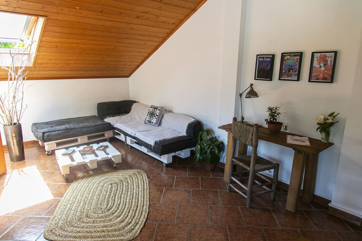 Quarto aconchegante com cama de solteiro superior, sofá, mesa pequena e planta em vaso.