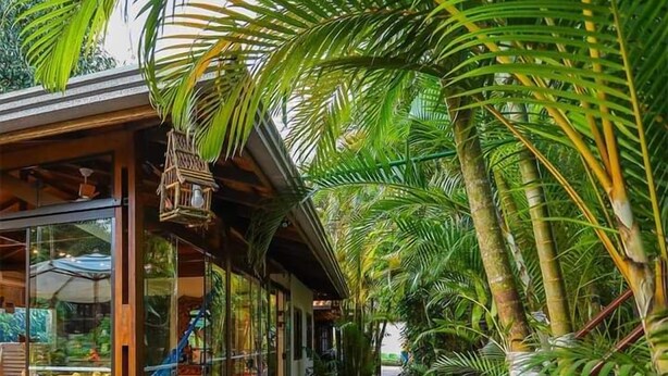 Um edifício moderno com grandes janelas de vidro, um deck de madeira e exuberantes plantas tropicais.