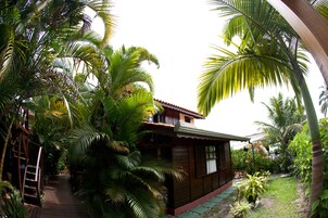 Uma casa de madeira cercada por vegetação tropical exuberante, incluindo palmeiras e uma escadaria de madeira que leva à entrada.