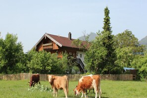 Pormenores do exterior