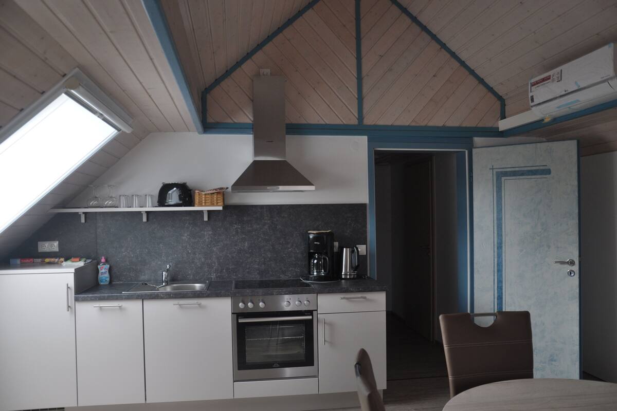 Apartamento, 2 quartos (6Pax Hauptgebäude) | Cozinha privada | Cafeteira/chaleira, geladeira grande, micro-ondas, fogão