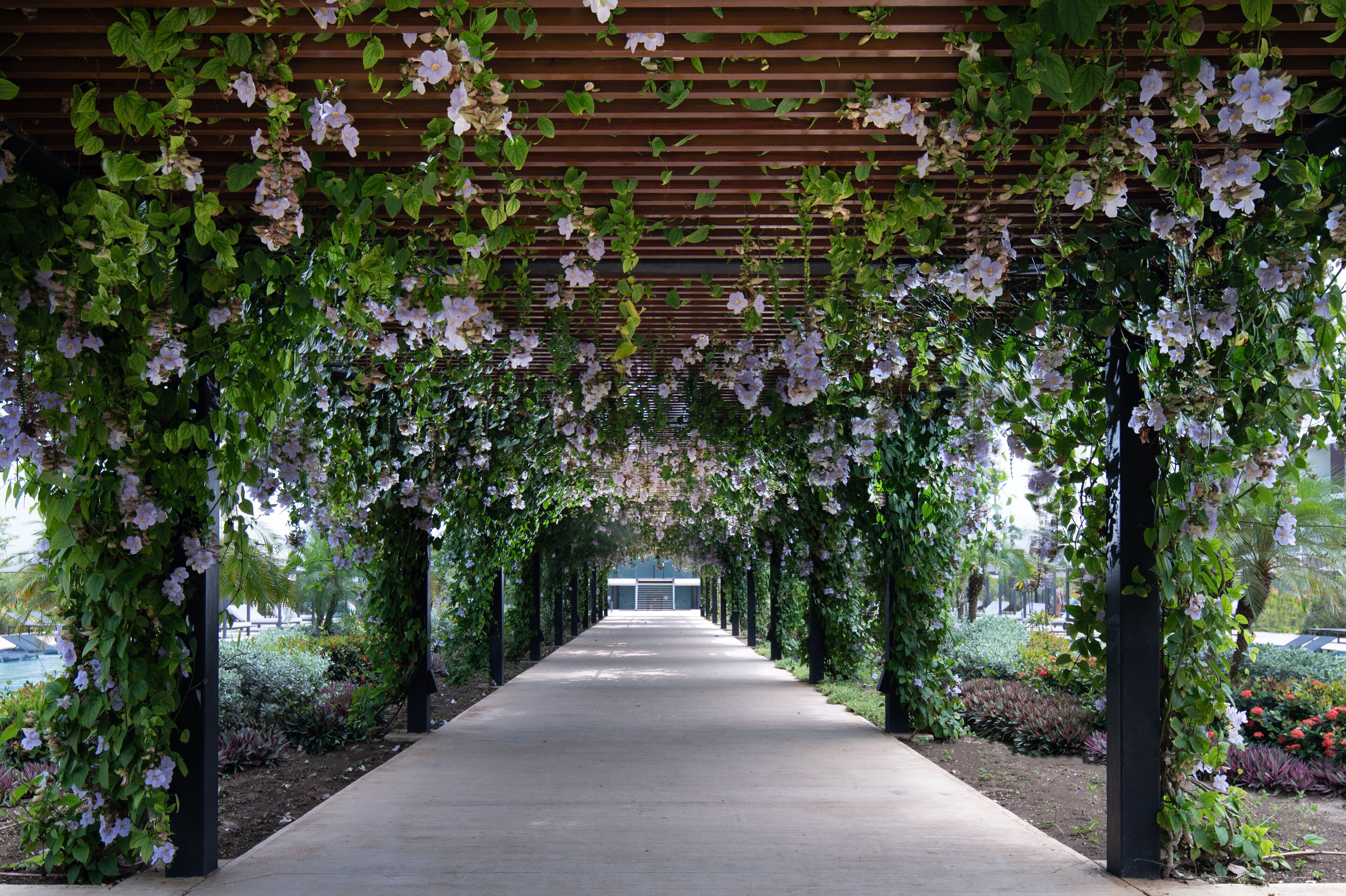 Uma galeria coberta com caminho de concreto, rodeada por vegetação exuberante e plantas floridas.