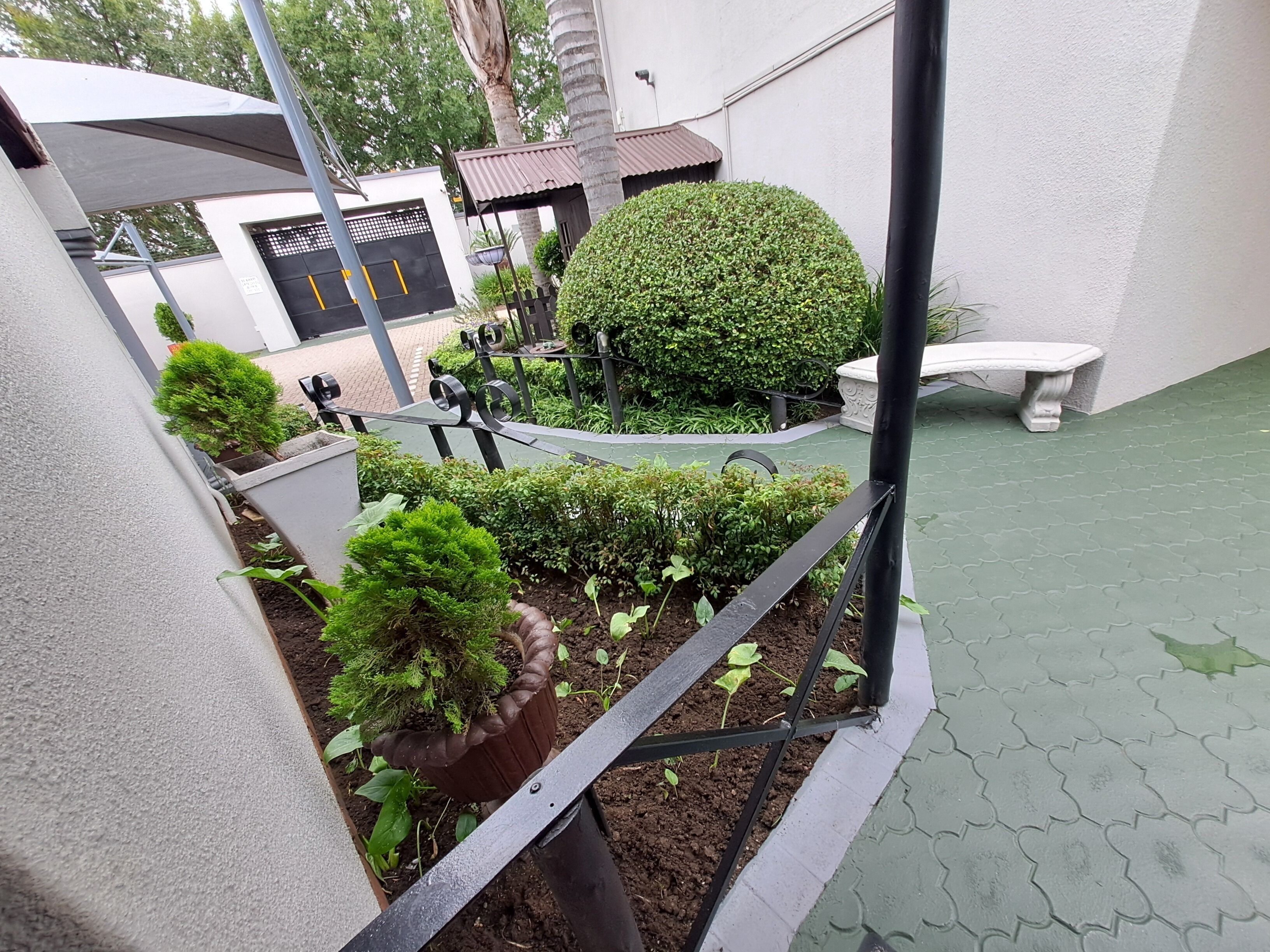 Um pátio com um pequeno jardim, um banco e uma cerca de metal.