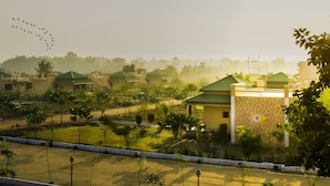 Bairro residencial com várias casas, céu claro e um pássaro voando.