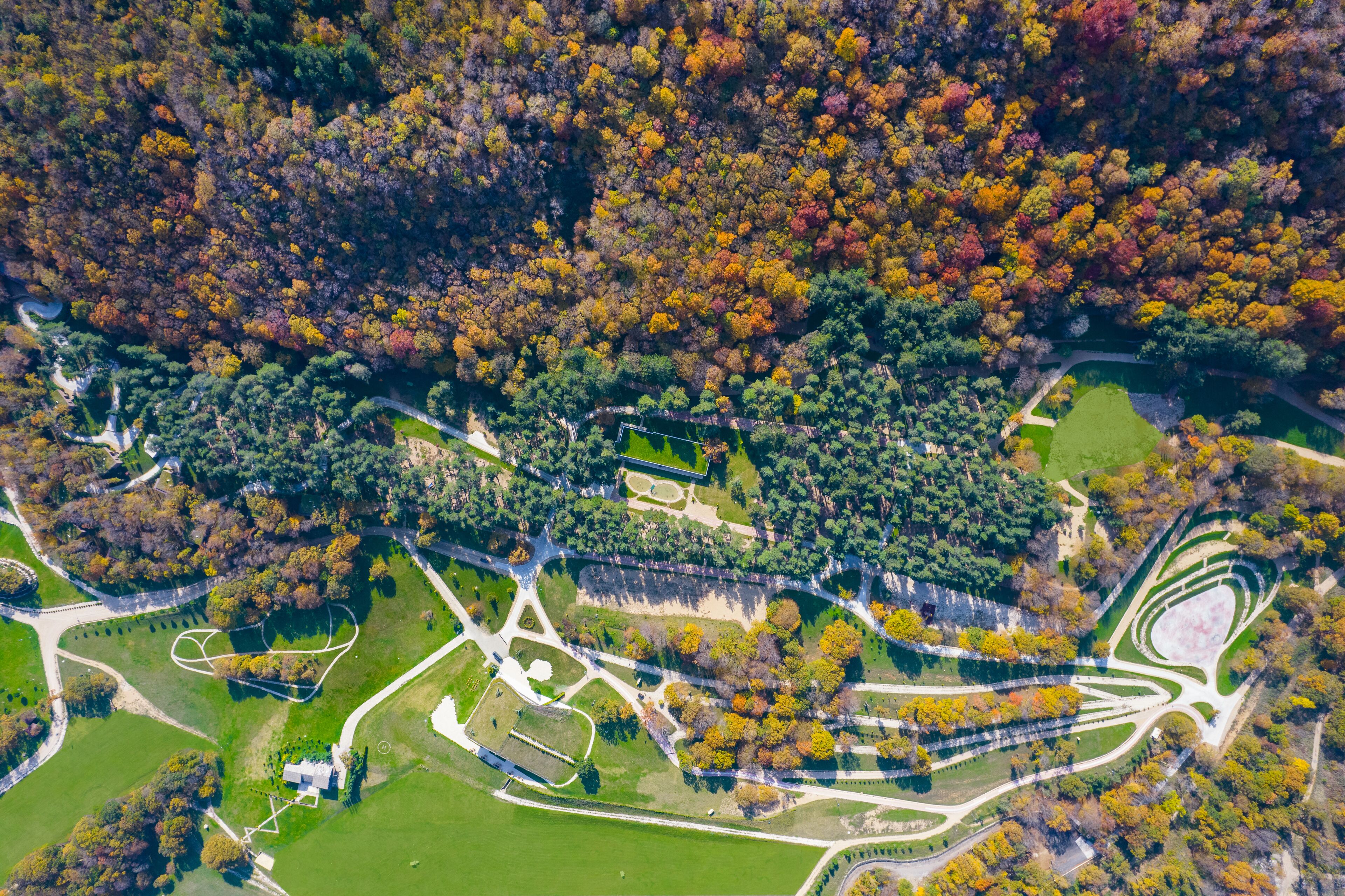 Vista aérea de um parque com caminhos sinuosos, gramados verdes e árvores densas.