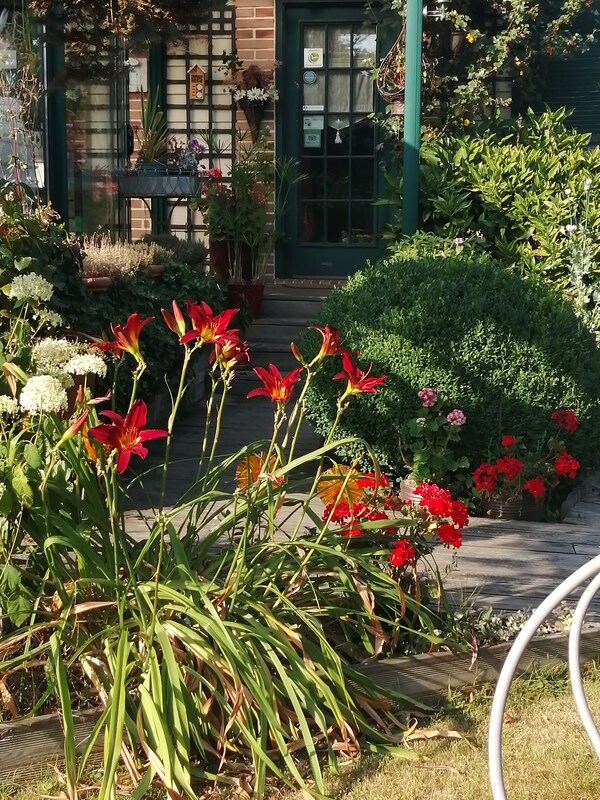 Le Frêne Fringant - Eure