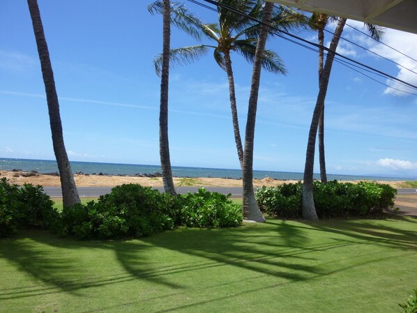 Ocean Front..Hale Kekaha Palms at the Beach...Air Conditioned - TVNCU #1004 - Kekaha - 2024 ...