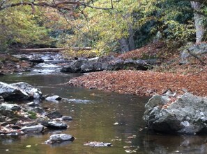 Cozy Little Cabin Located Along The Banks Of A Beautiful Trout Stream ...