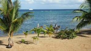Beachfront, Private Guesthouse on 3 Acres, Parking, Fruit and Nut Trees ...