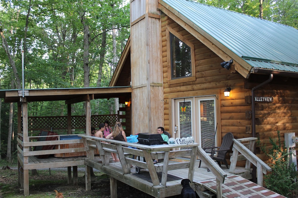 Valley View Cabin With Show-stopping Vaulted Ceilings! - Summersville, WV