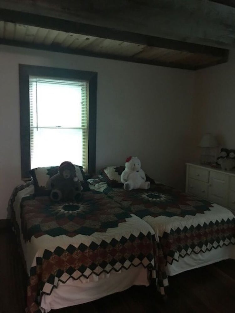 Authentic Log Cabin In The Blue Ridge Mountains Family And Pet Friendly - Roan Mountain, TN