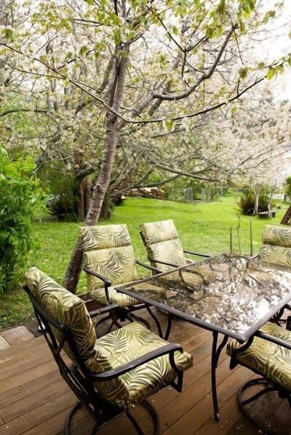 Francis Street Vacation Home. Ferndale, California - Ferndale, CA