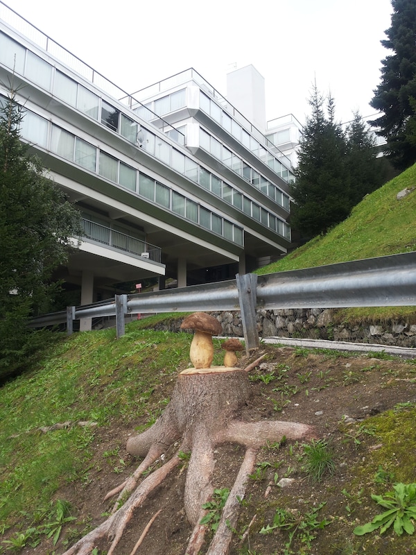 Casa Dell'alce - Madonna di Campiglio