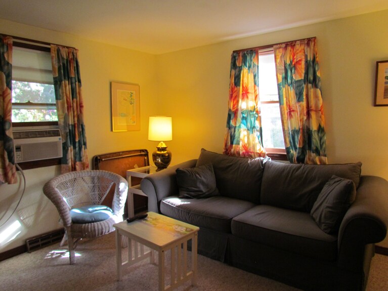Family Friendly Home, Walk To Beach, Central Ac - Nauset Beach, MA