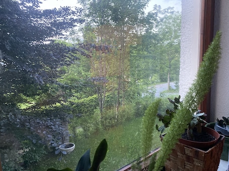 Fachada. Pension Waldblick