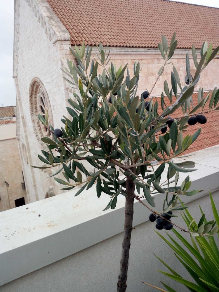 B&b Il Nido Delle Rondini - Conversano