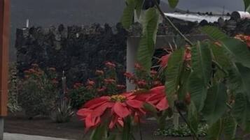 Um jardim com plantas de bico-de-papagaio vermelhas e um muro de pedra.