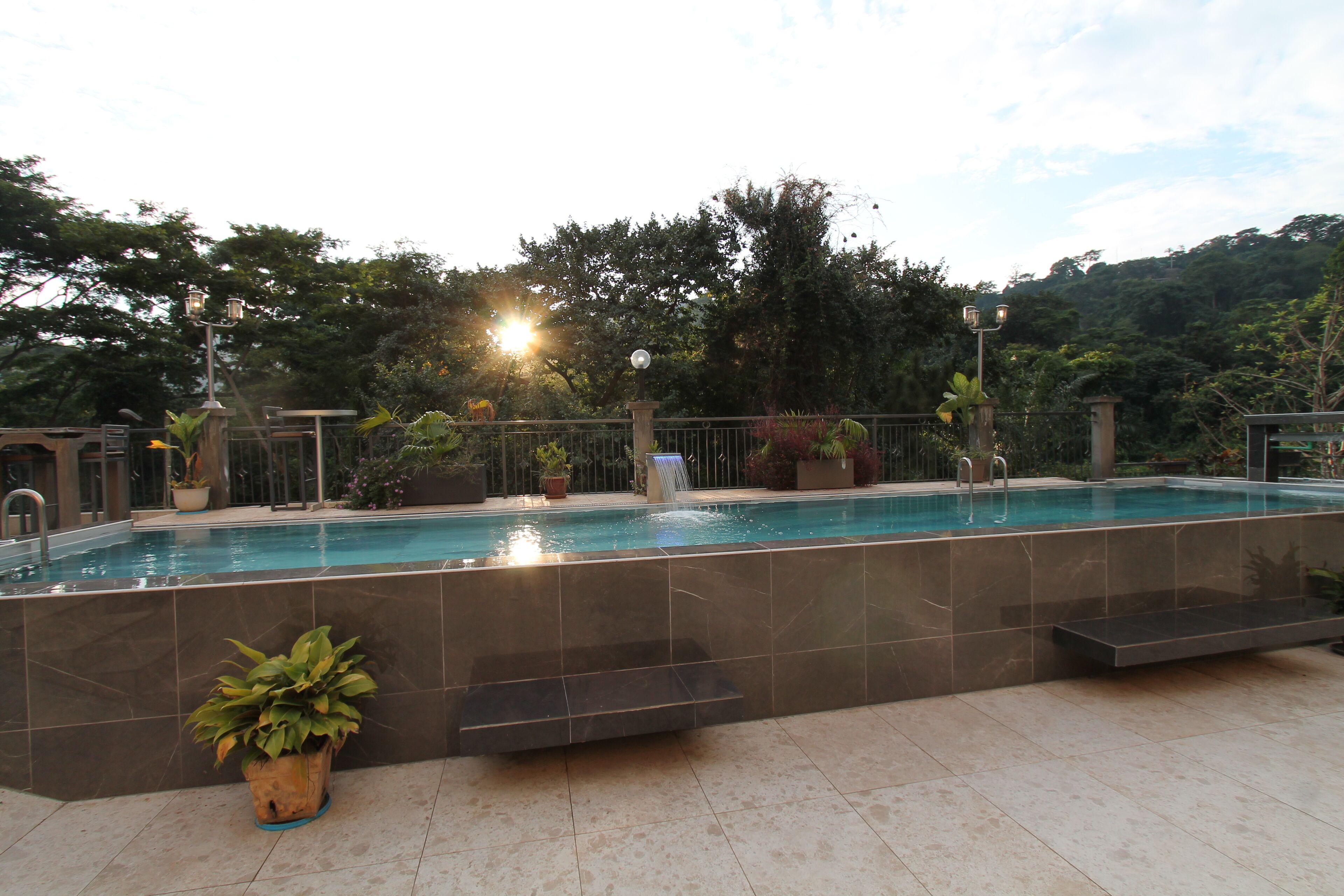 Piscina retangular com borda em azulejo, rodeada por plantas em vasos e uma cerca de metal.