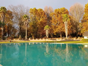 Uma piscina com superfície de água azul cristalina, rodeada por árvores com folhagem outonal e um relvado bem cuidado.
