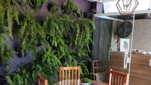 Uma área de refeições com uma mesa redonda de madeira e quatro cadeiras, cercada por uma parede de samambaias verdes.