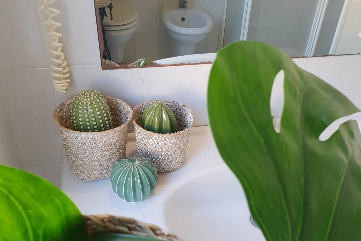 Casa de banho com lavatório, bidé e espelho. Três cactos em vasos decorativos estão sobre o lavatório.