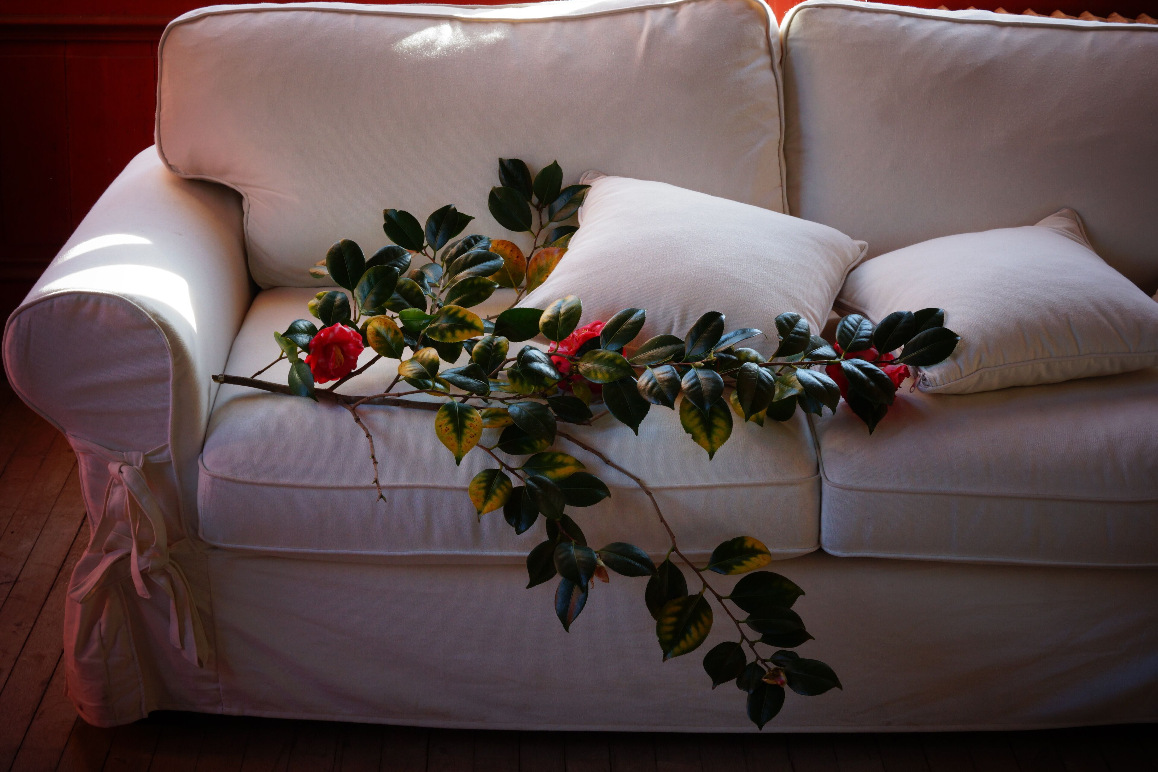 Château Avec Chapelle Xxl - Pays de la Loire