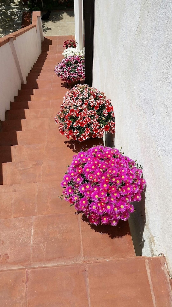 Apartment In A Villa In Mediterranean Style, Distance To The Sea Mt 400 - 奧古斯塔港