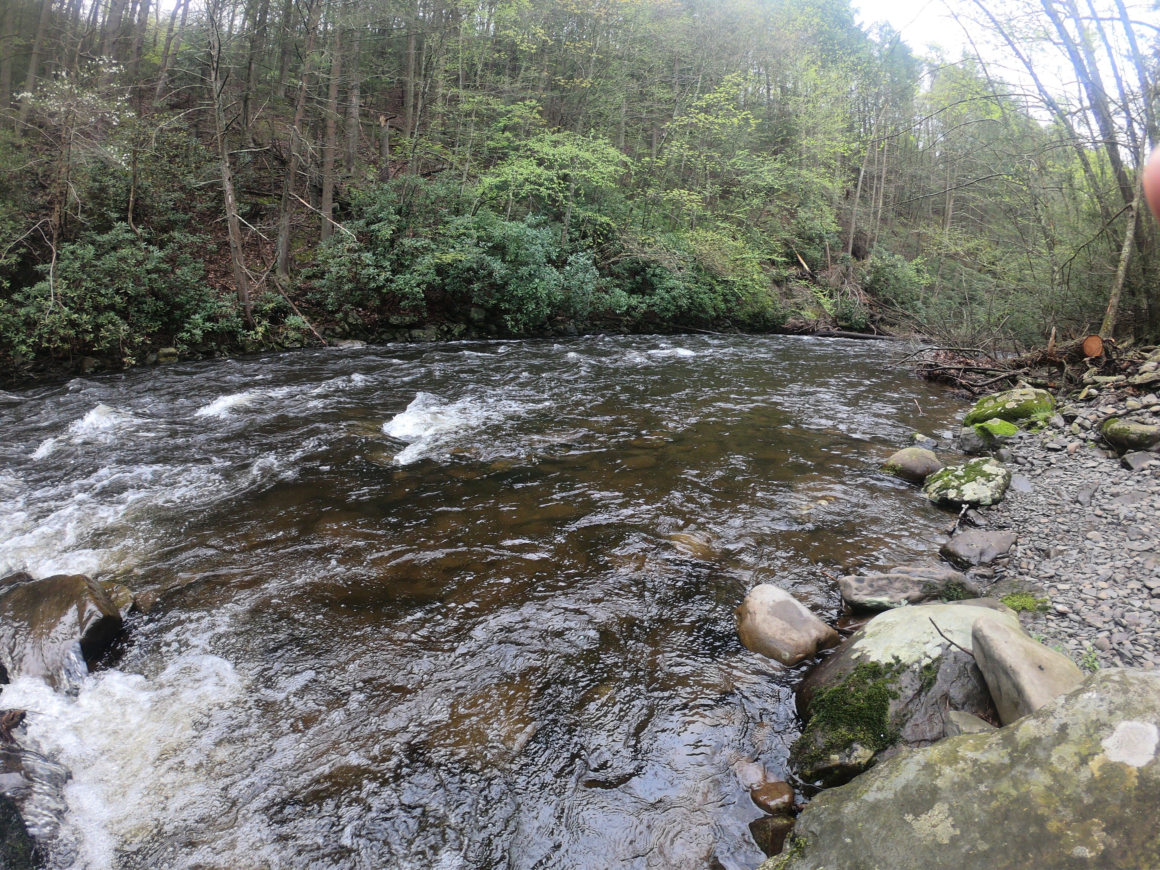 Bushkill Creek Waterfront Chalet Near Bushkill Falls, Bushkill, PA ...