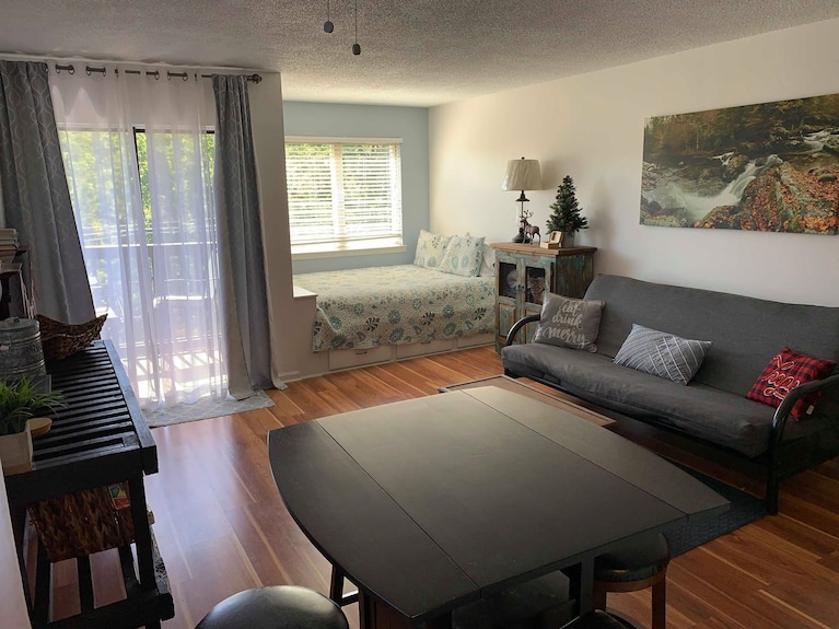 Baby Bear Hideaway - Pigeon Forge, TN