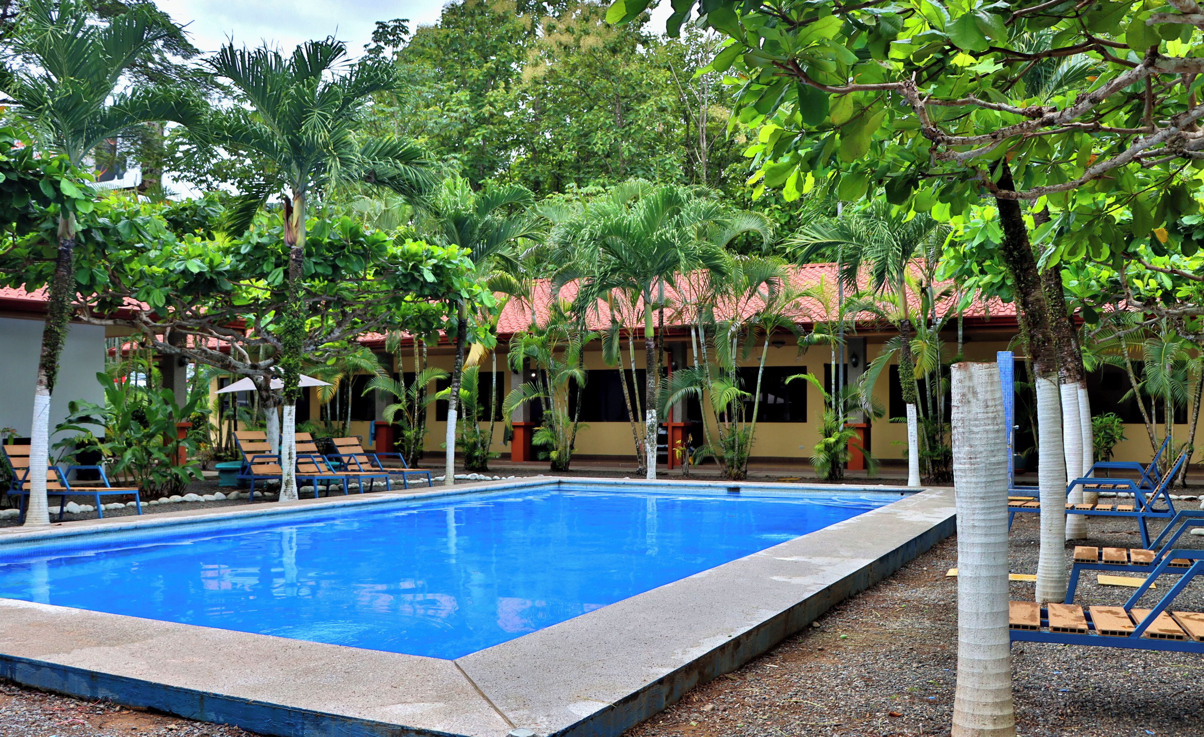 Piscina exterior, guarda-sóis 