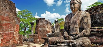 Serviço de transporte para a cidade