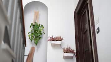 Fachada do alojamento